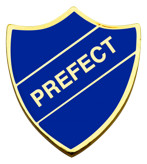 prefect-gp-b_500_556 | Sancton Wood School